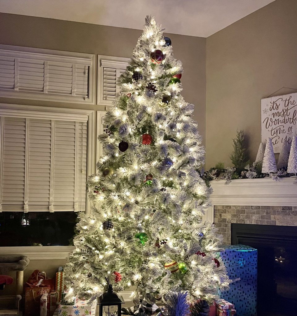 Stanley and the Christmas Tree: A Lesson for Writers - Lee Martin